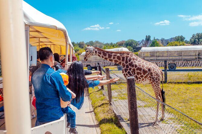 Teotihuacán for kids - Why This Tour Offers Good Value