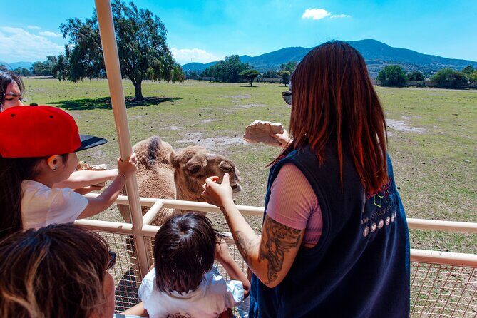Teotihuacán for kids - Frequently Asked Questions