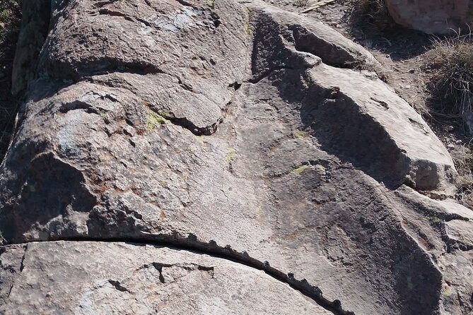Teotihuacan Pyramids tour - Who Is This Tour Best For?