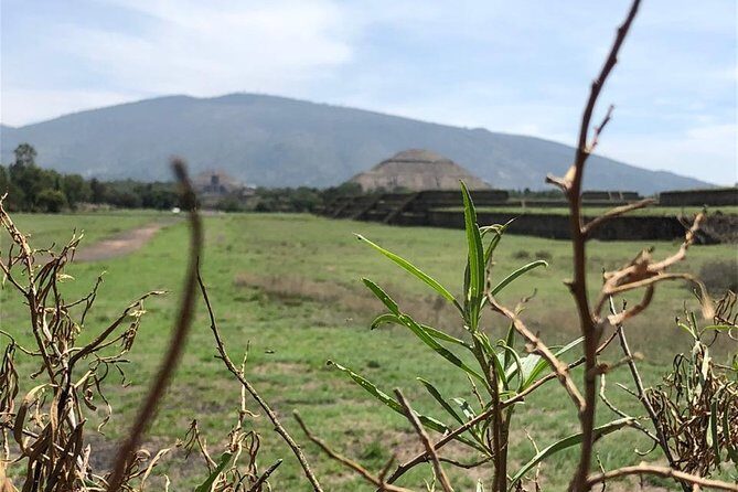 Teotihuacan y Basilica de Guadalupe Private Tour - FAQ