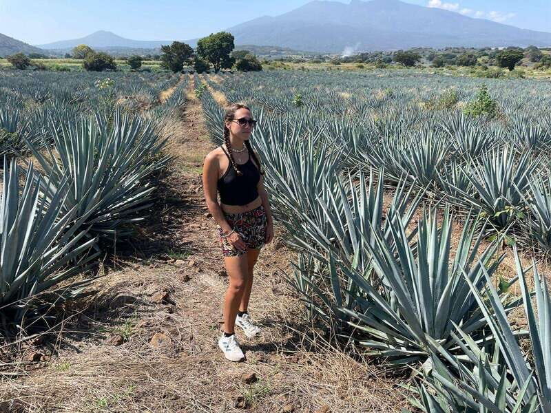 Tequila and Cantaritos Tour from Guadalajara - Discovering the Tequila and Cantaritos Tour from Guadalajara