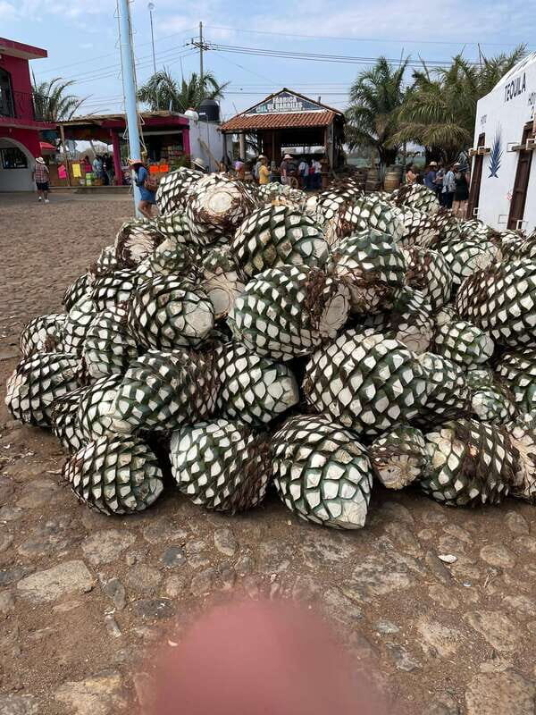 Tequila and Cantaritos Tour from Guadalajara - Who Would Enjoy This Tour?