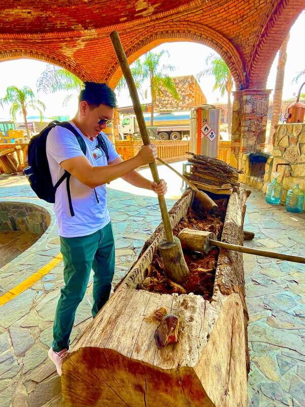 Tequila and Guachimontones: Private Full Day Tour - Who Will Love This Tour?