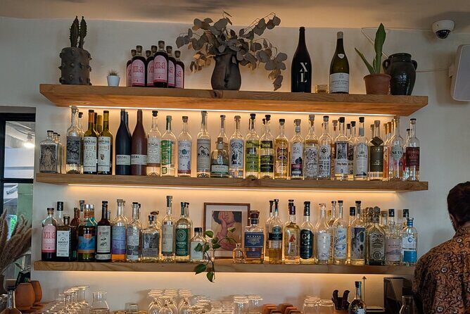 Tequila and Mezcal Tasting in DC - An Authentic Introduction to Tequila and Mezcal