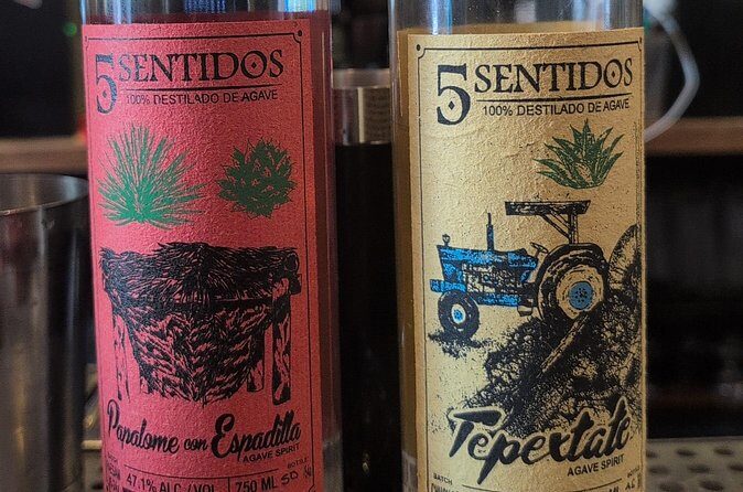 Tequila and Mezcal Tasting in DC - Final Thoughts: Who Should Consider This Tour?