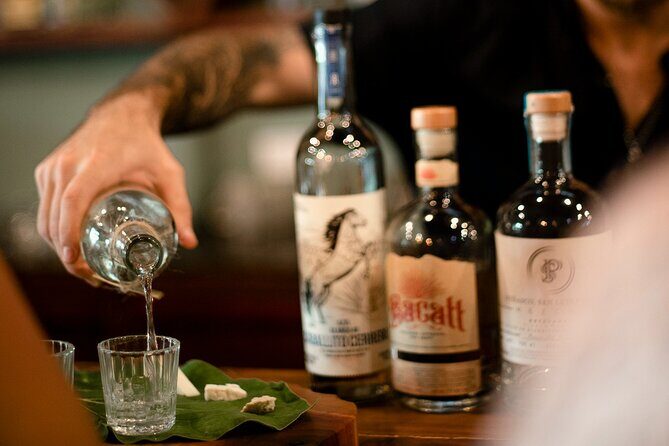 Tequila and Mezcal Tasting in Tulum with Cheese Pairing - Practical Tips for Visitors
