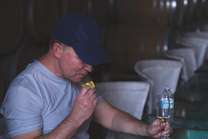 Tequila Day Trip - Transport, Timing, and Comfort