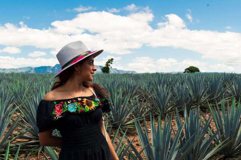 Tequila Full-Day Discovery Tour of Amatitan - Exploring the Itinerary in Detail