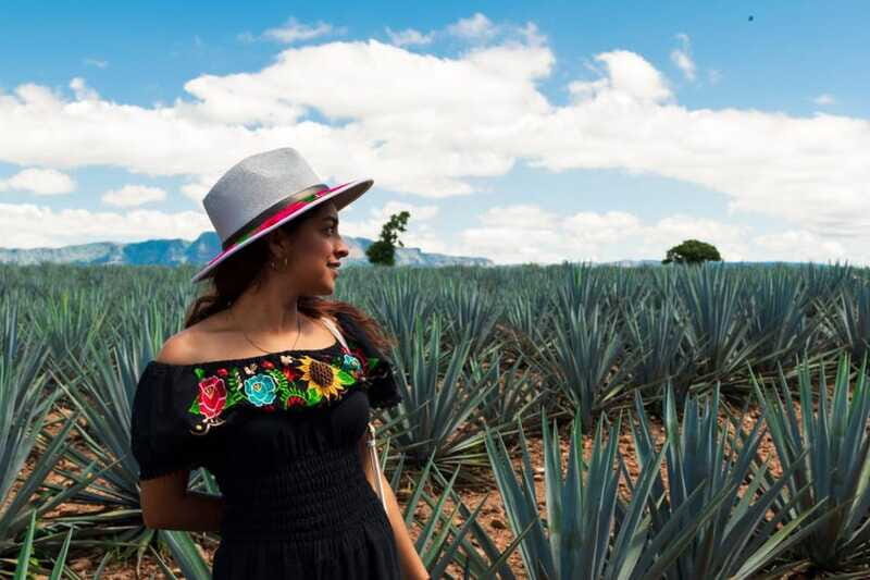 Tequila Full-Day Discovery Tour of Amatitan - Final Thoughts