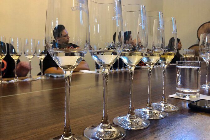 Tequila Full Experience! - A Practical Introduction to the Tour