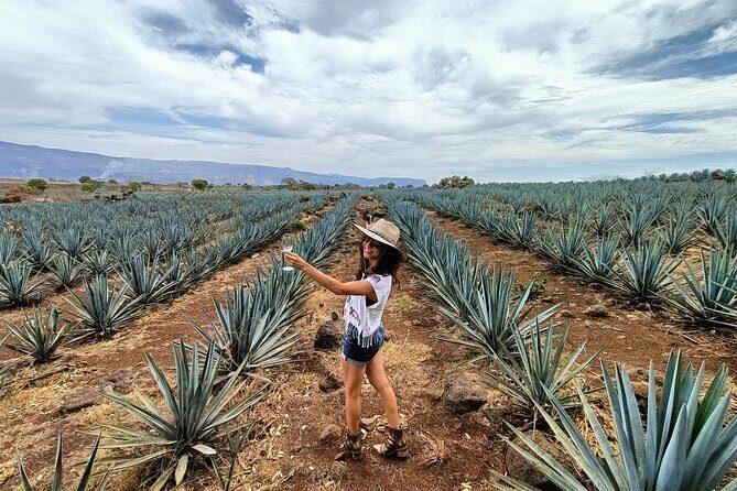 Tequila Full Experience! - Is This Tour Right for You?