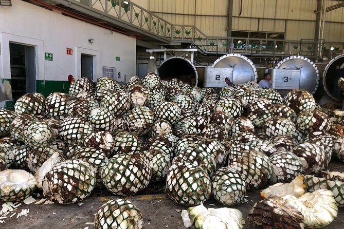 Tequila Full Experience! - Final Thoughts