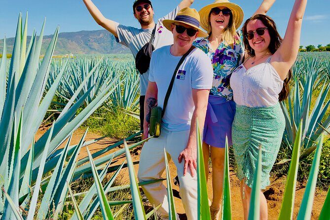Tequila/Guachimontones Tour-cultural heritage route - Starting with the Archaeological Marvels at Guachimontones