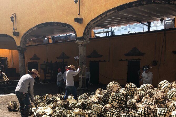 Tequila Jalisco Full Day Tour from Puerto Vallarta - FAQ
