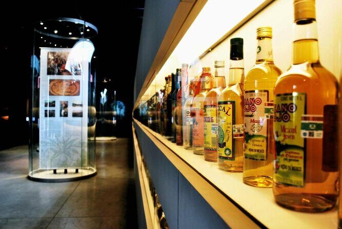 Tequila & Mezcal Exclusive Tour - What to Expect from the Tour