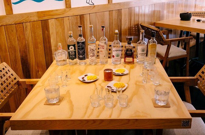 Tequila & Mezcal Tasting - Agave Masterclass In San José del Cabo - Who Will Love This Experience?