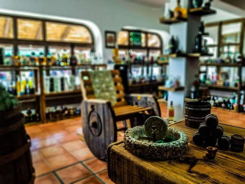 Tequila & Mezcal Tasting Experience - An In-Depth Look at the Experience