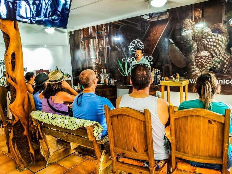 Tequila & Mezcal Tasting Experience - Final Thoughts: Is It Worth It?