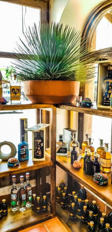 Tequila & Mezcal Tasting Experience - Frequently Asked Questions