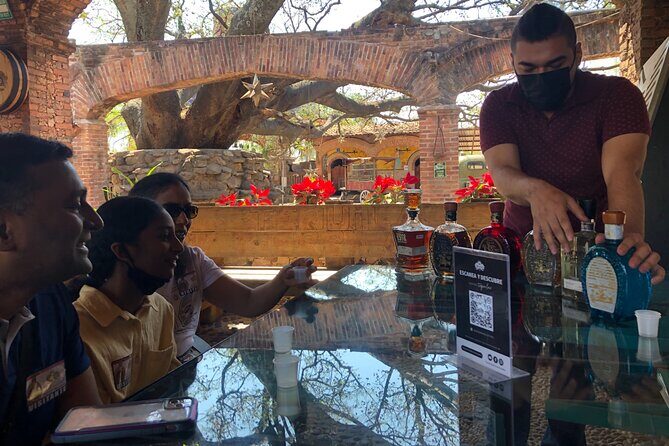 Tequila: Private Half-Day Tour - Practical tips for travelers