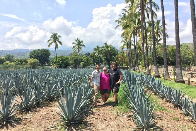 Tequila: Private Half-Day Tour - Final thoughts