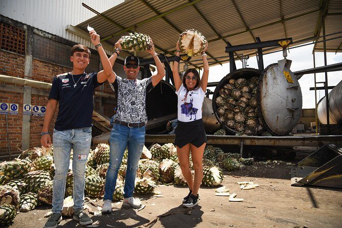 Tequila Route Experience from Guadalajara - Who Will Love This Tour?