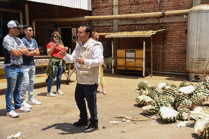 Tequila Route Experience from Guadalajara - The Sum Up