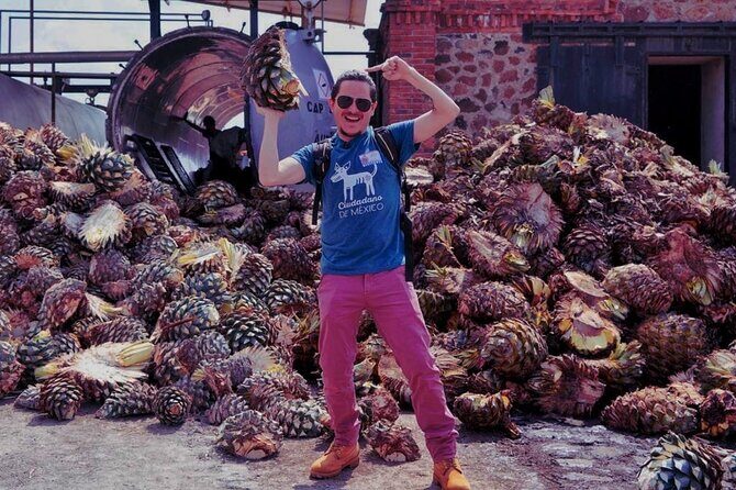 Tequila Tour - The Sum Up: Who Should Consider This Tour
