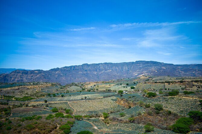 Tequila tour with tasting. - Who Is This Tour Best For?