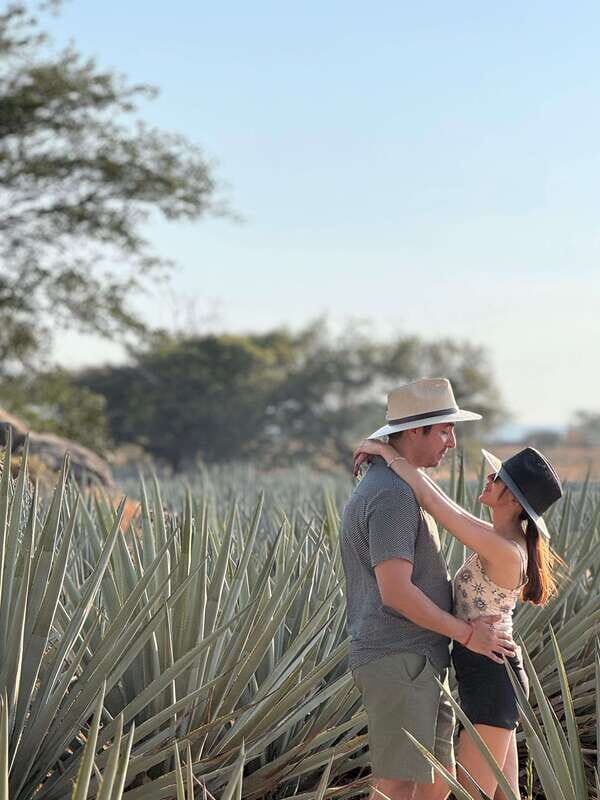 Tequila: Town and Distillery Guided Tour with Tastings - FAQ