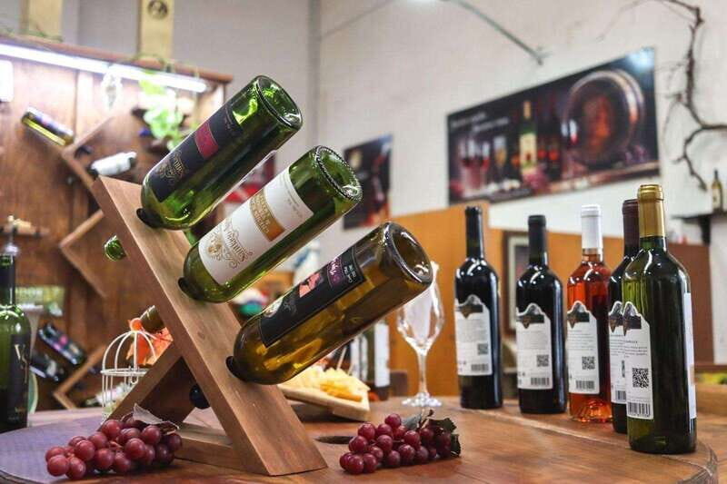 Tequisquiapan: UTV Adventure with Winery and Cheese Tasting - Who Will Enjoy This Experience?