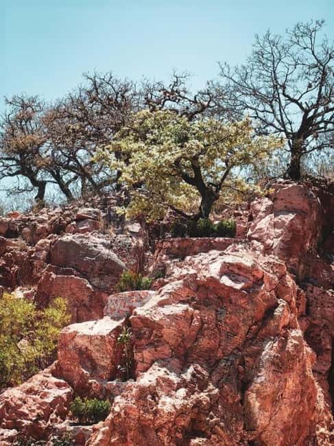 Tequisquiapan: UTV Tour to Opal Mine with Art Workshop - Tequisquiapan: UTV Tour to Opal Mine with Art Workshop