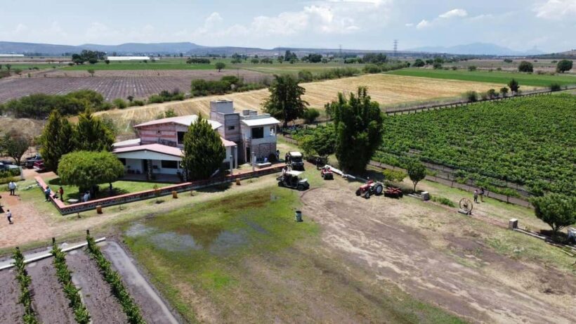 Tequisquiapan: UTV Tour with Wine Tasting and Cheese Pairing - An Entertaining Mix of Adventure and Gourmet in Querétaro