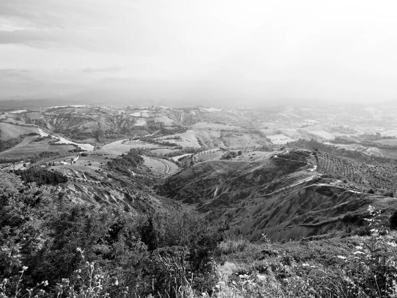 Teramo: Private Oil Mill Tour and Guided Tasting - Key Points