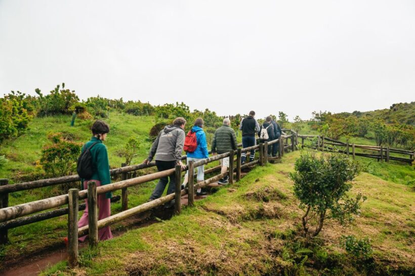 Terceira: Algar do Carvão Lava Caves Tour - The Detailed Experience: What to Expect from the Tour
