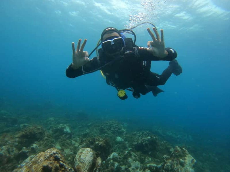 Terceira Azores: Scuba-Double dive Trip(certified Divers) - The Marine Environment and Highlights
