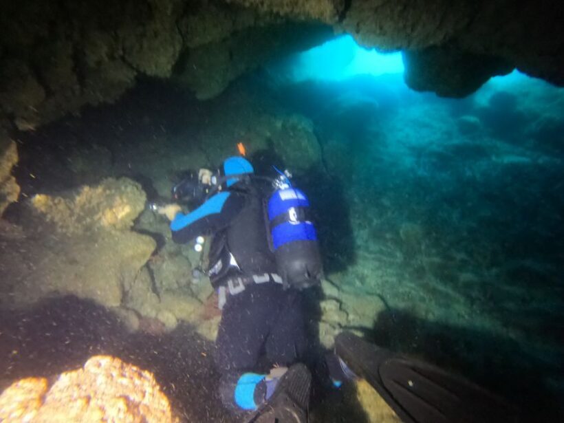 Terceira Azores: Scuba-Double dive Trip(certified Divers) - Equipment and Additional Costs