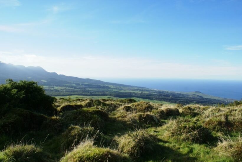 Terceira Island: 4x4 Land Rover Tour with Traditional Lunch - Unique Flora and Fauna