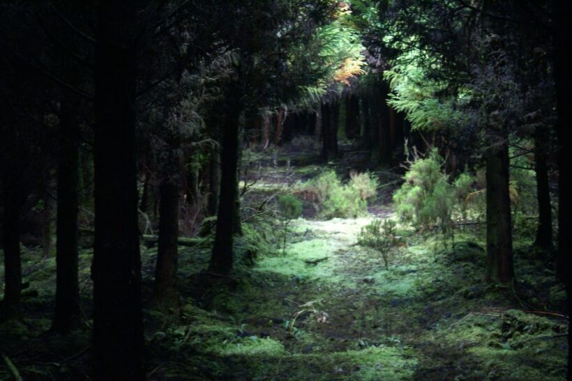 Terceira Island: 4x4 Land Rover Tour with Traditional Lunch - Lagoons and Optional Cave Visits