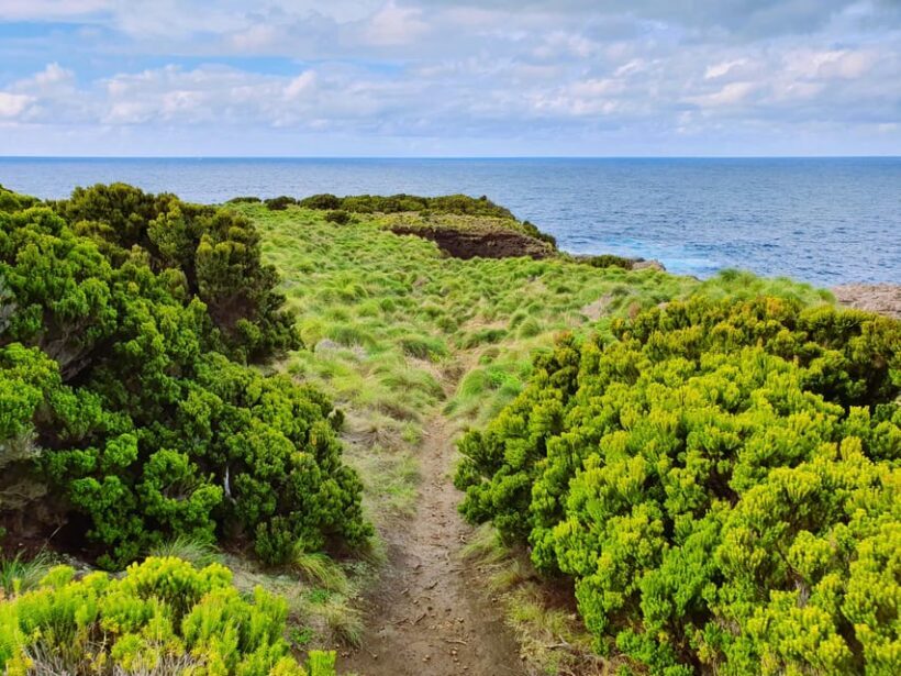 Terceira Island: Baías da Agualva Hike + Picnic + Biscoitos - Who Will Love This Experience?