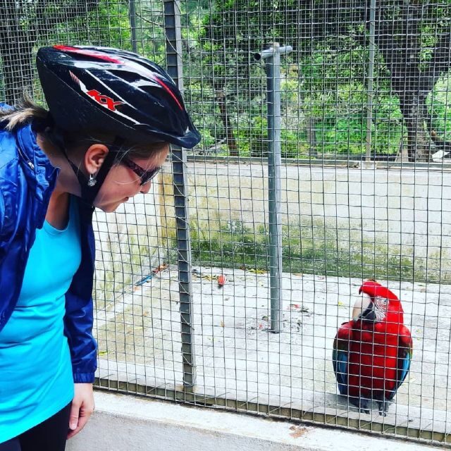 Terceira Island : Electric Bike Tour Monte Brasil - Exploring the Tour Step-by-Step