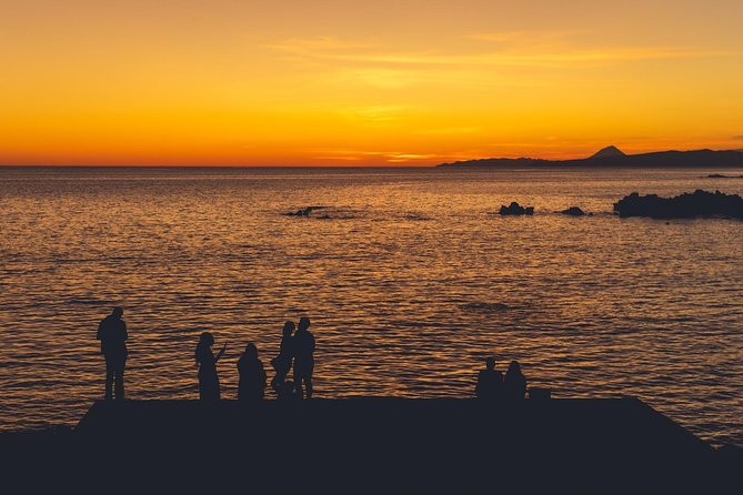 Terceira Island: Full Day Tour - Dining Experience on the Tour