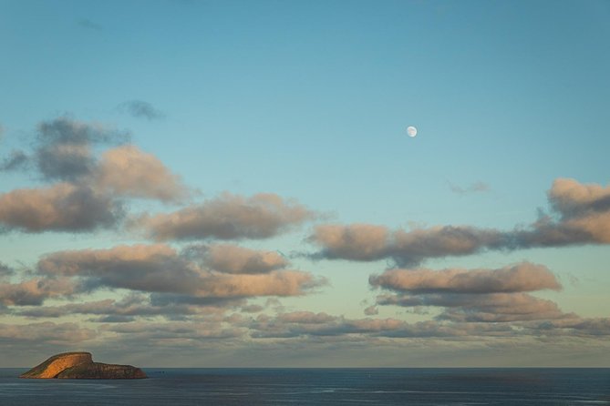Terceira Island: Full Day Tour - Customer Testimonials and Recommendations