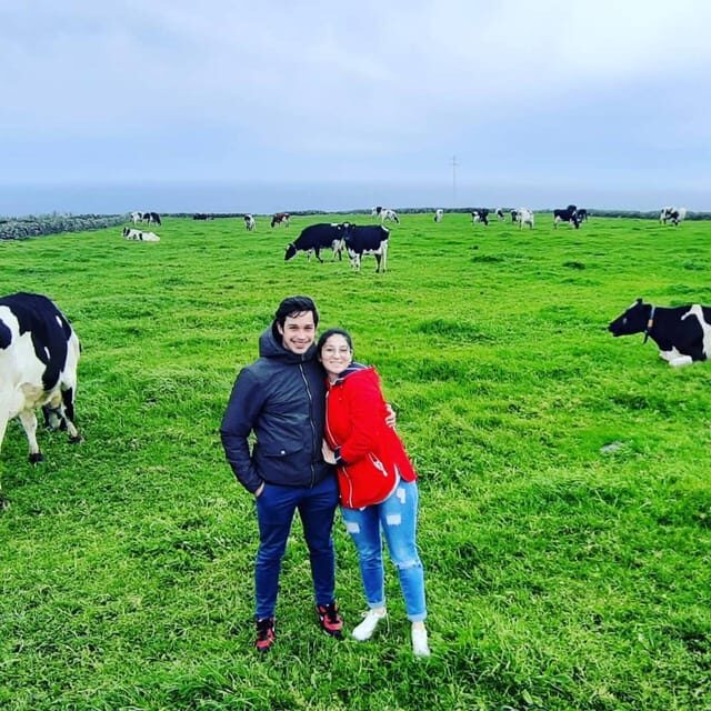 Terceira Island: Full Day Van Tour - Value for Money