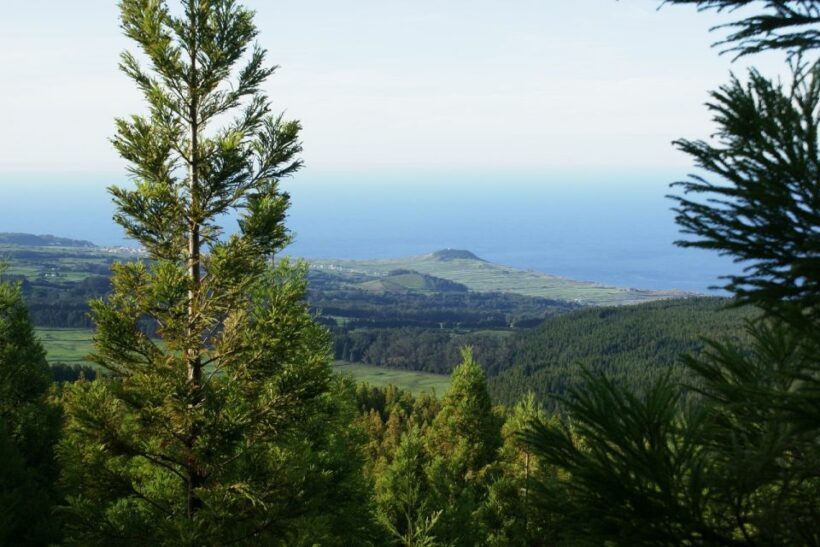 Terceira Island: Half-Day 4X4 Tour - Who Is This Tour Best For?