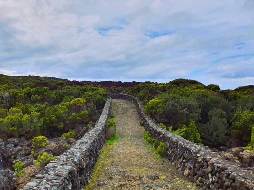 Terceira Island Half Day Hiking Trail: Baías da Agualva - A Closer Look at the Trail and Itinerary