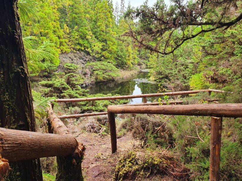 Terceira Island Half Day Hiking Trail: Mistérios Negros - A Closer Look at the Experience