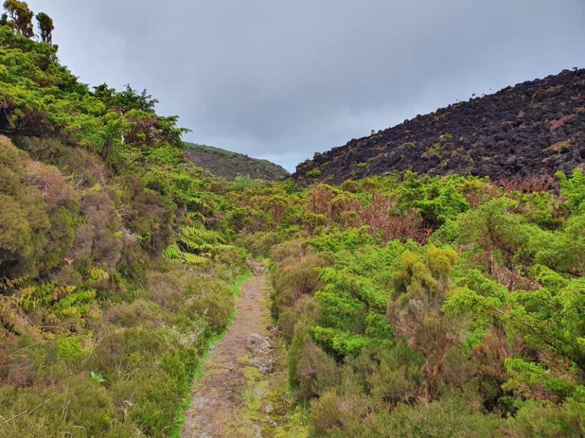 Terceira Island Half Day Hiking Trail: Mistérios Negros - FAQs About the Mistérios Negros Hiking Tour