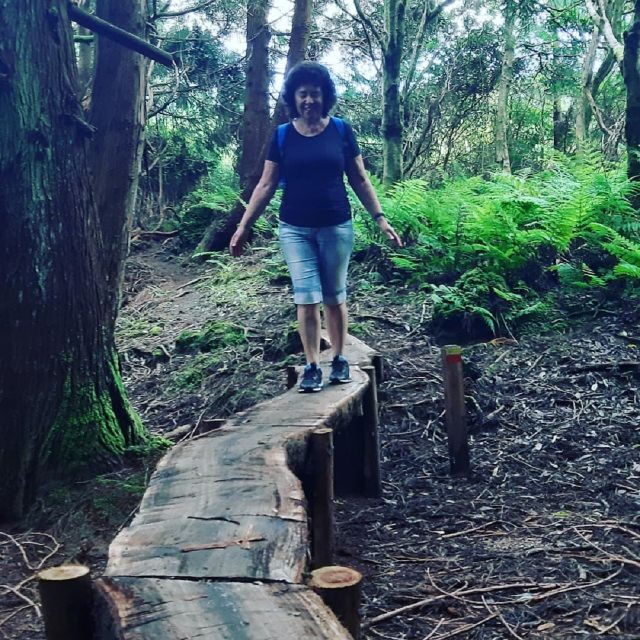 Terceira Island : Hiking Trail Rocha do Chambre - The Professional Guide and Logistics