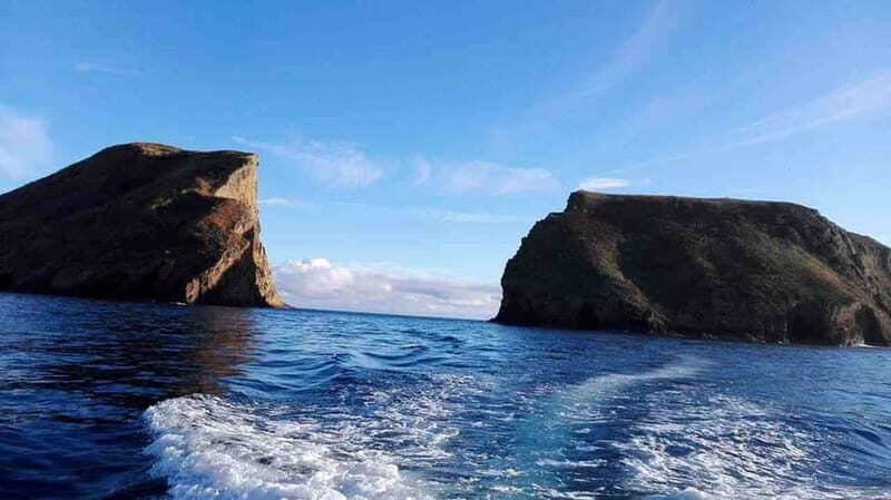 Terceira Island: Ilhéu das Cabras Boat Tour + Snorkeling - The Value of This Tour